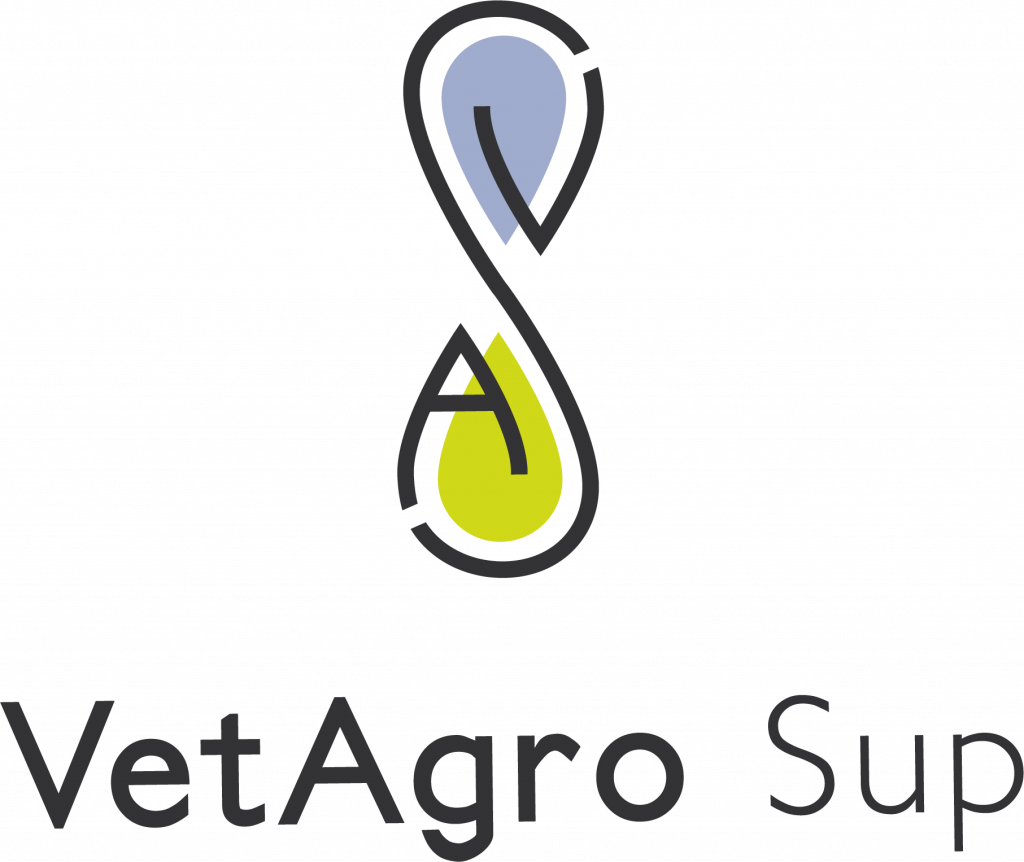 HawkCell | Shaping the future of healthcare, one image at a time