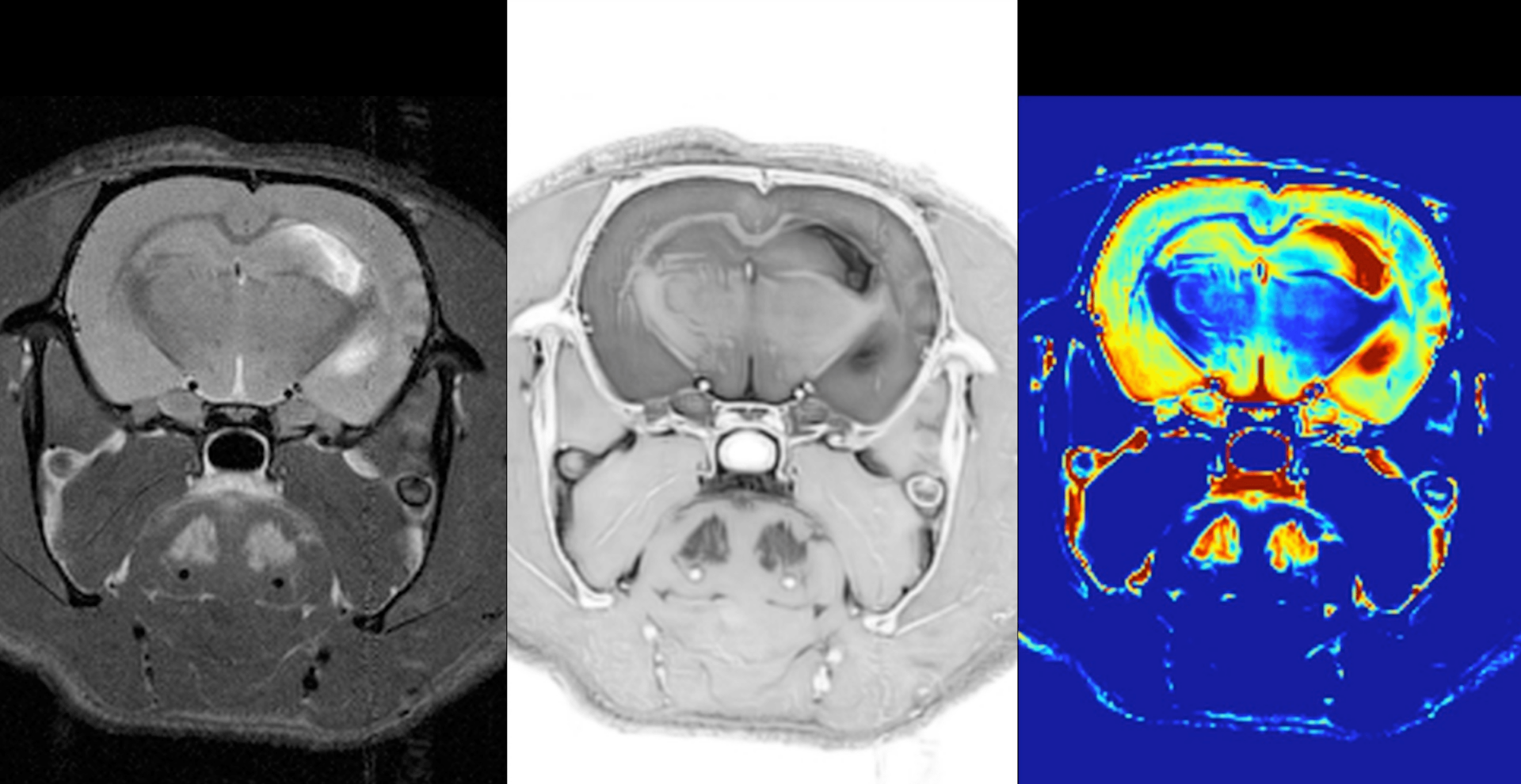 Preclinical MRI Deep Learning Algorithm - HawkAI